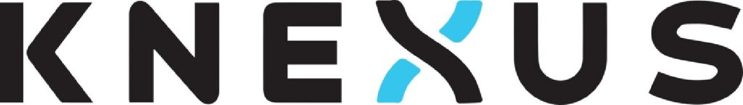 Knexus Wins 2025 Google Cloud Business Applications Partner of the Year Award for Government ...