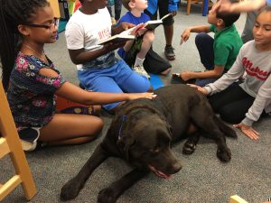 How dogs can help students in and out of the classroom - The Bradford Era