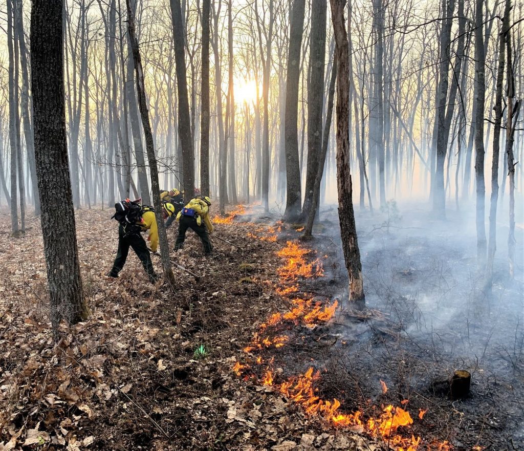 McKean Co. officials issue outdoor burn advisory - The Bradford Era