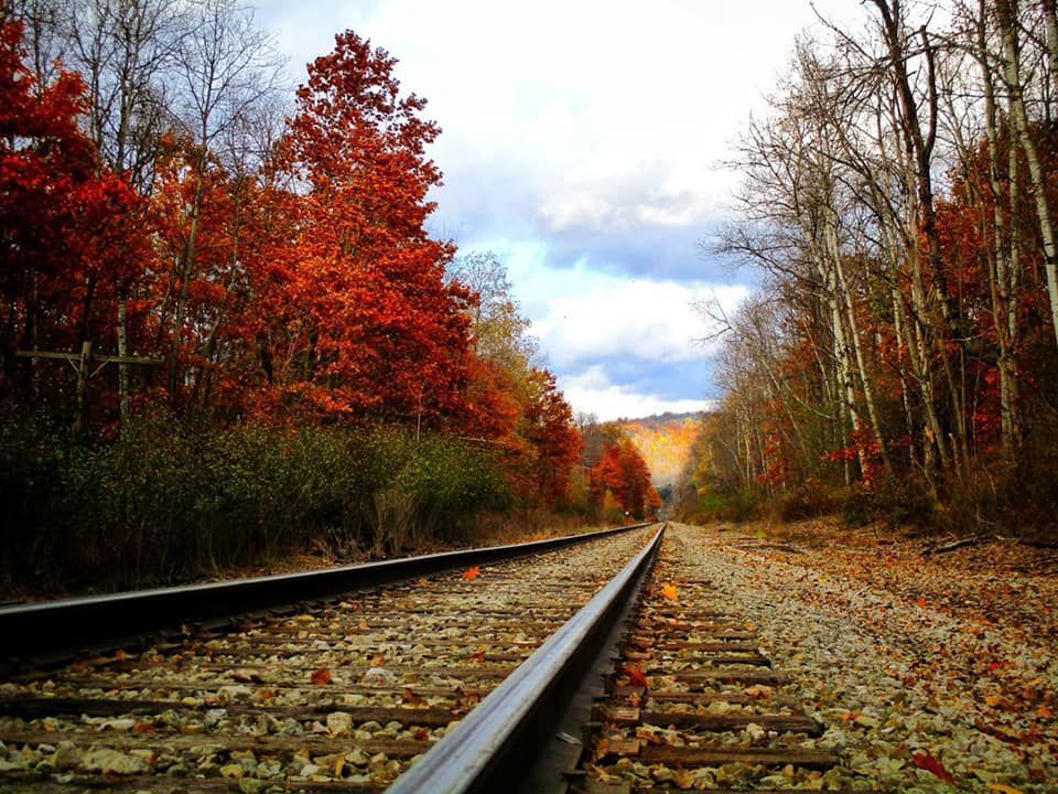 October brings peak Fall foliage colors throughout the Area - The ...