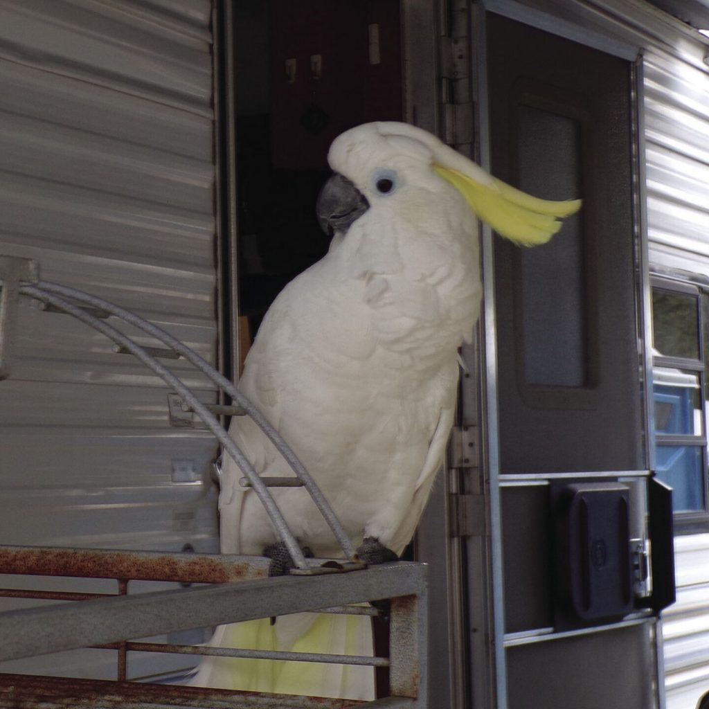 A little left, it’s alright. This concludes the dam show - The Bradford Era