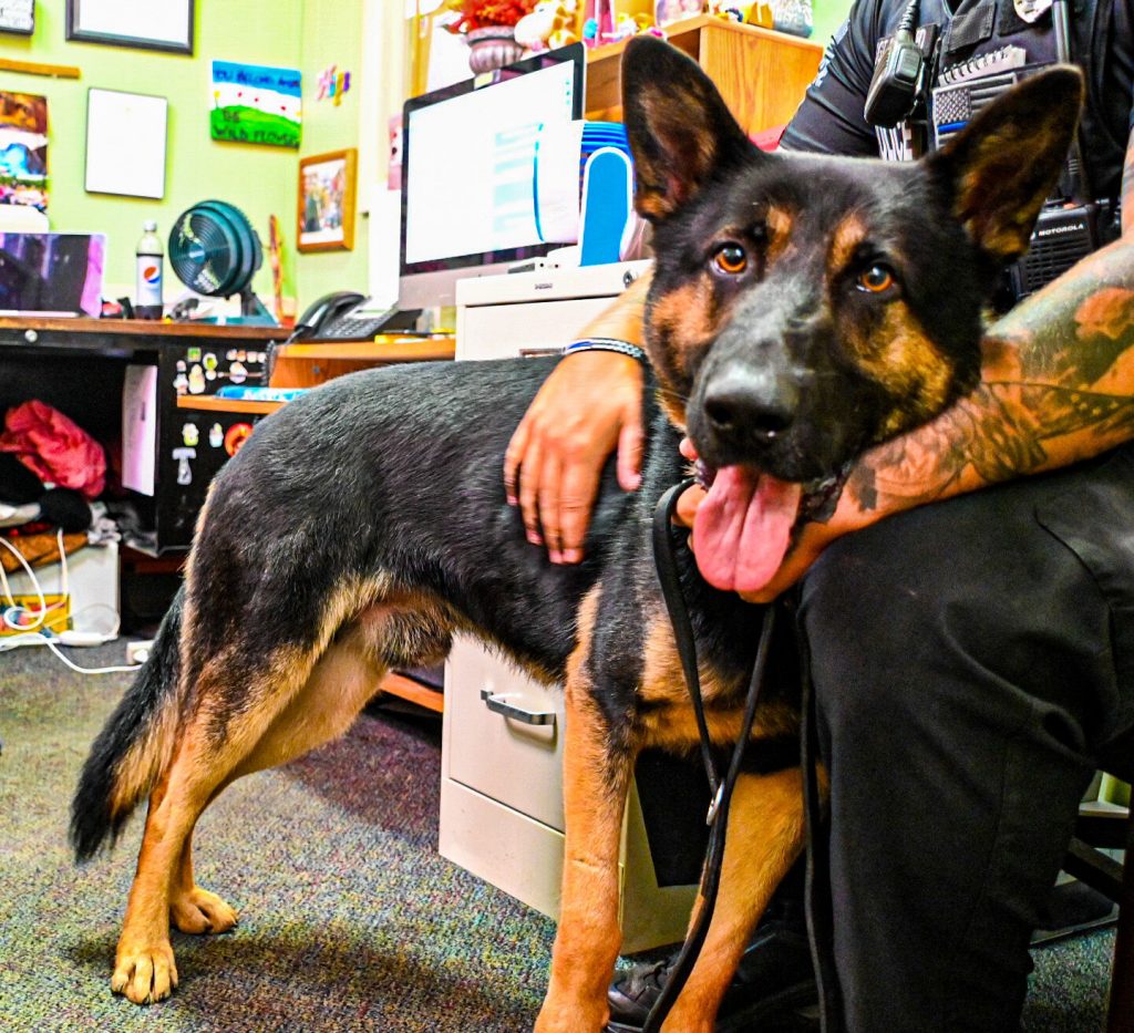 Bradford Police Department’s K9 Duke to get donation of body armor ...