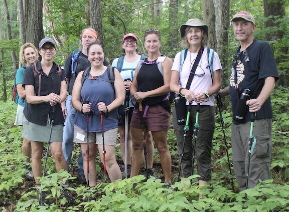 Allegheny National Forest's Tracy Ridge a prime example of wilderness ...