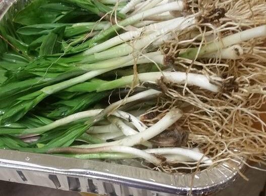 Lewis Run VFD reviving LeekFest - The Bradford Era