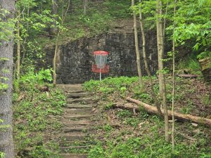 Callahan Park Disc Golf Course ready for big debut - The Bradford Era