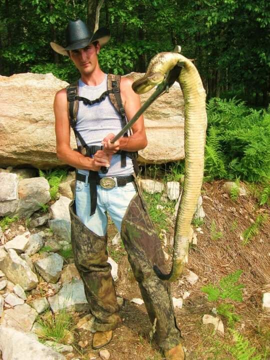 Key to rattlesnake hunting is knowing what to look for - The Bradford Era