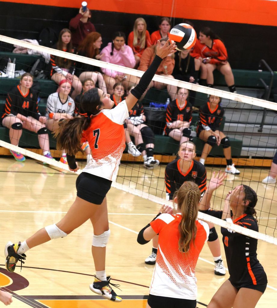 Port Allegany, ECC among volleyball winners - The Bradford Era