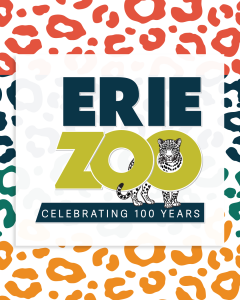 Erie Zoo marking 100 years - The Bradford Era