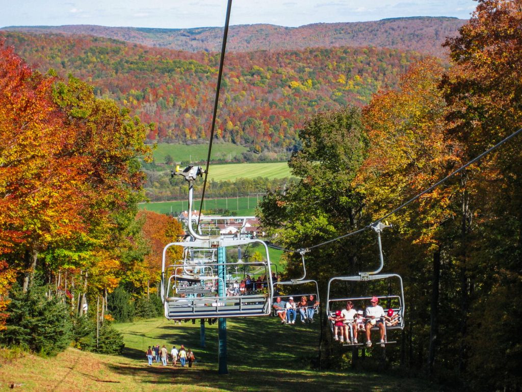 ELLICOTTVILLE: Embrace the autumn spirit at 48th annual Fall Festival ...
