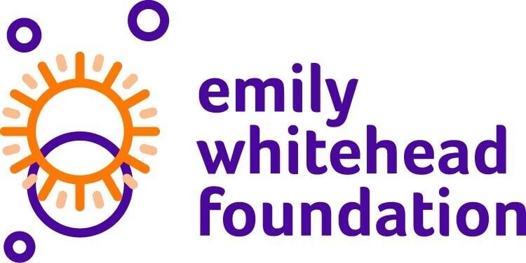 Emily Whitehead Foundation Names George Eastwood Executive Director ...