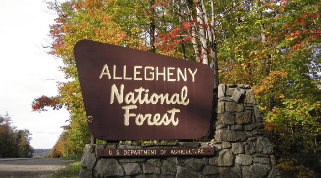 Allegheny National Forest sites closed for cleanup - The Bradford Era