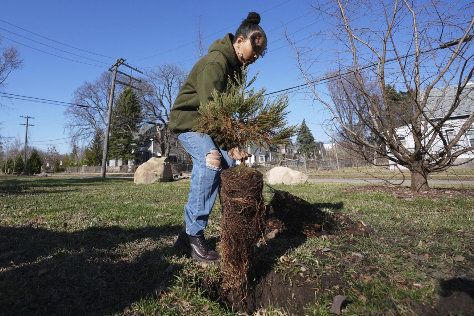A sequoia forest in Detroit? Plantings to improve air quality and mark ...