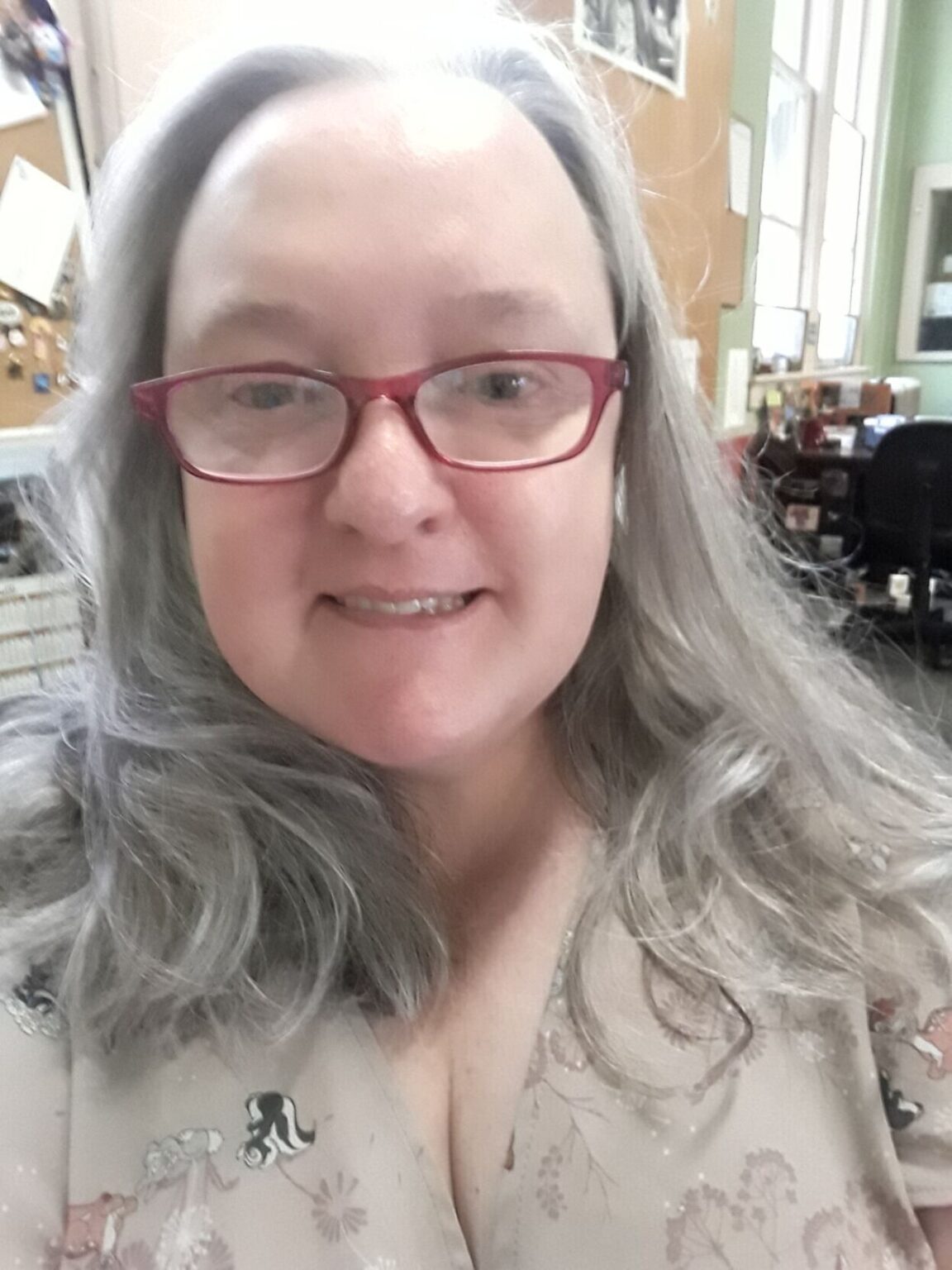 Back in time with unique store near Buffalo - The Bradford Era