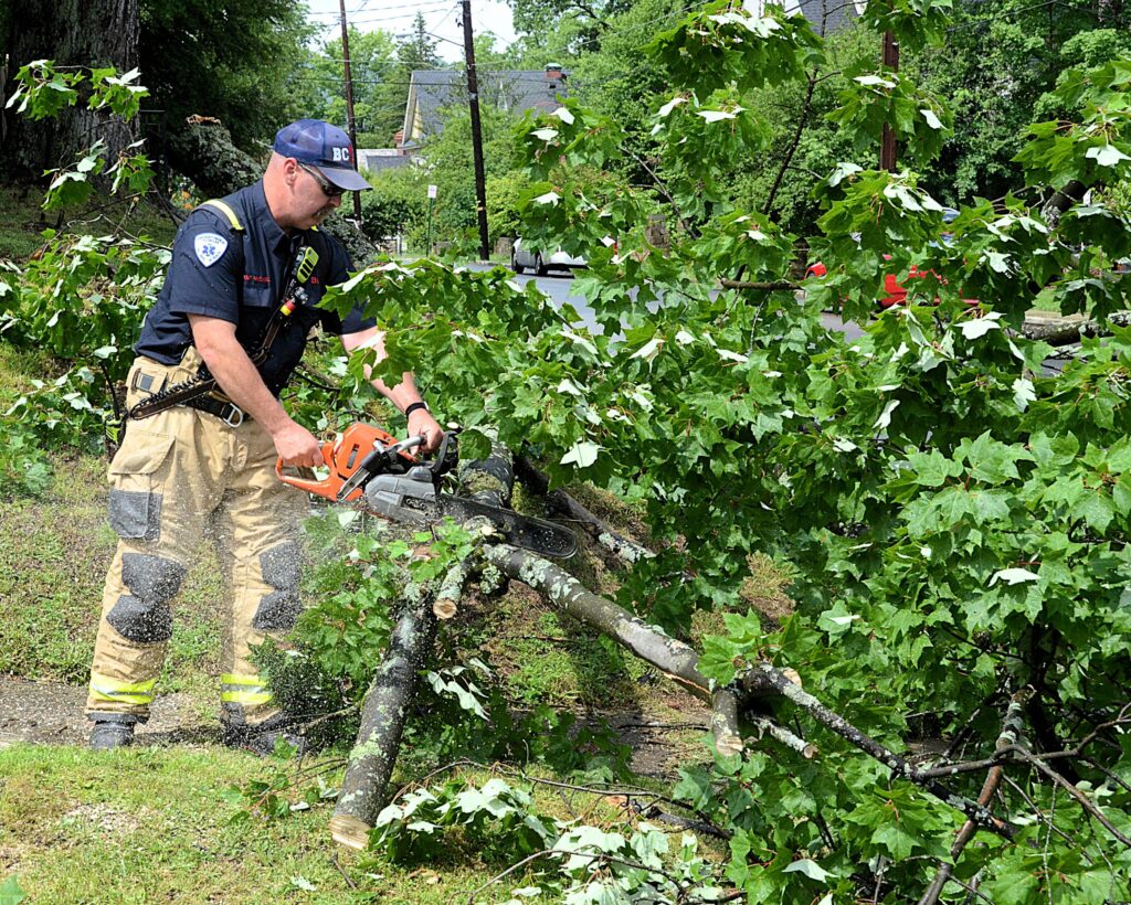 Bigfoot Festival in Marienville set for June 7 - The Bradford Era
