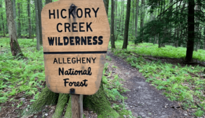 America's wilderness is priceless - The Bradford Era