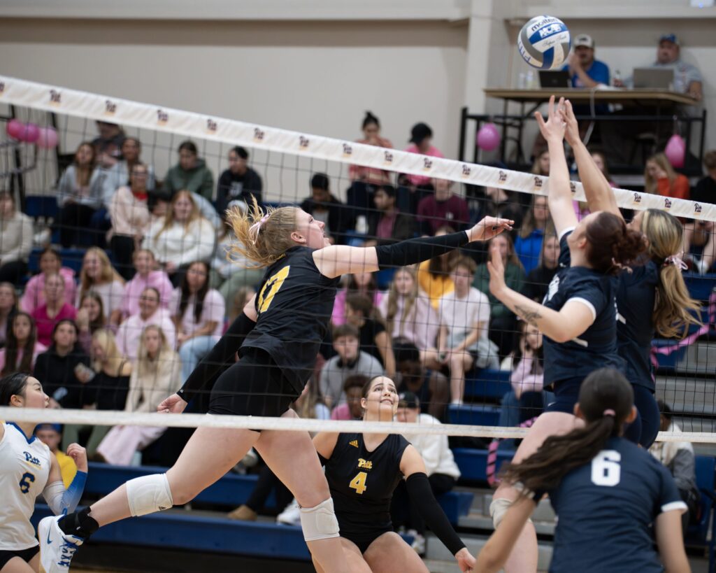 Pitt-Bradford falls to Penn State-Behrend volleyball - The Bradford Era