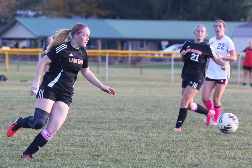 HS Roundup: Austin beats CV, Bradford falls to DuBois - The Bradford Era