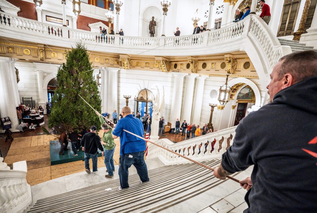 Pa.’s Christmas tree completes another delicate dance into the Capitol ...