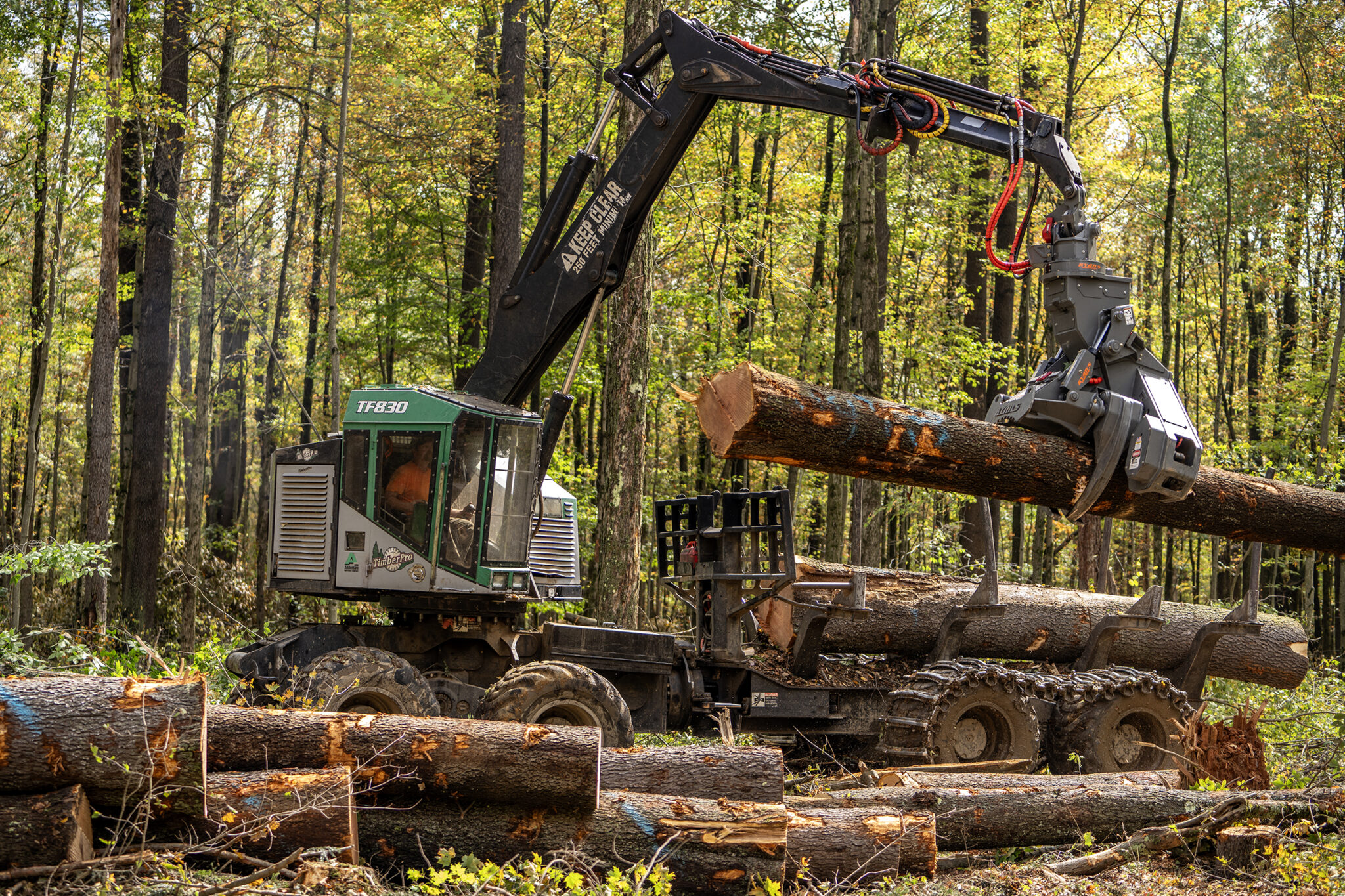 Thompson, Salinas introduce bill to support U.S. timber industry - The ...