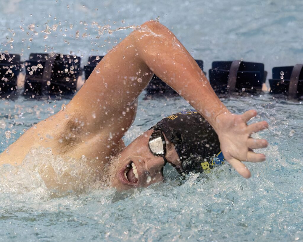 Pitt-Bradford swim teams fall to Roberts Wesleyan - The Bradford Era
