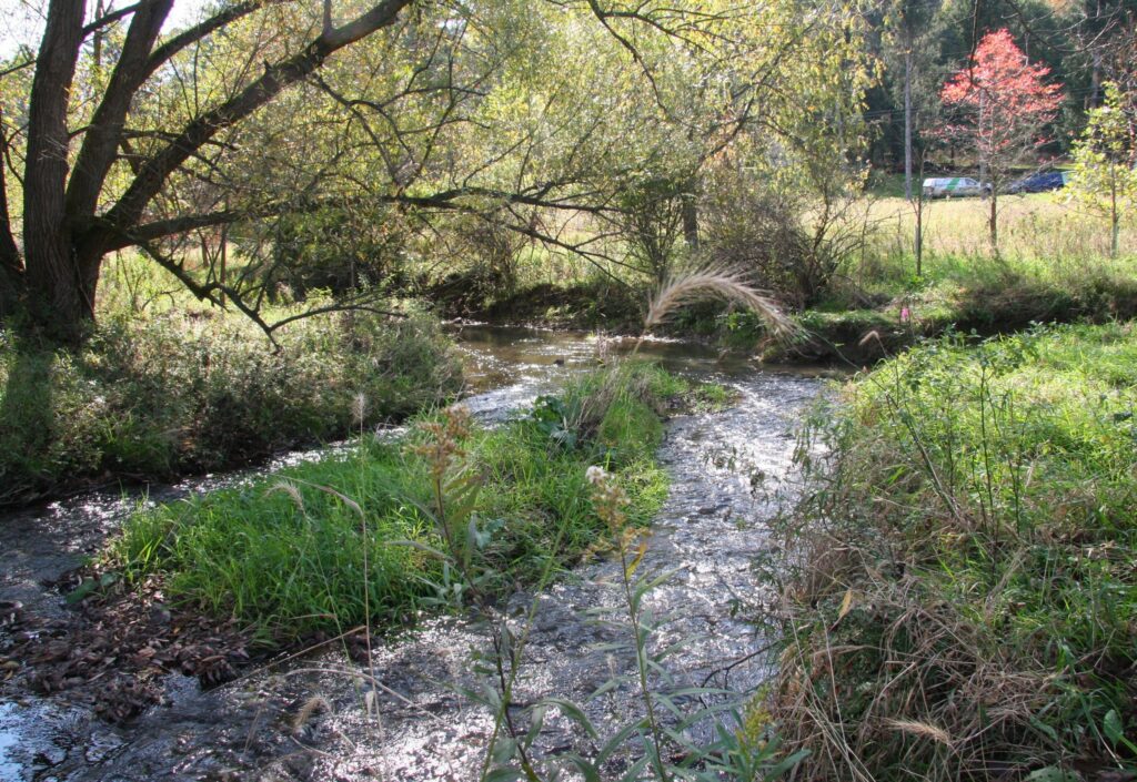 Roadmap to renewal for Pa. waters - The Bradford Era